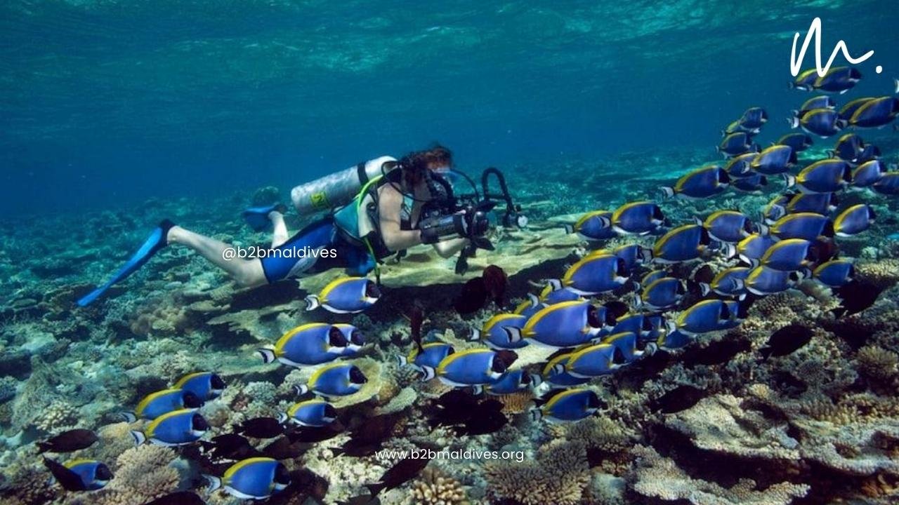 PADI Dive Center & House Reef at Dhawa Ihuru by B2B Maldives - World's ...